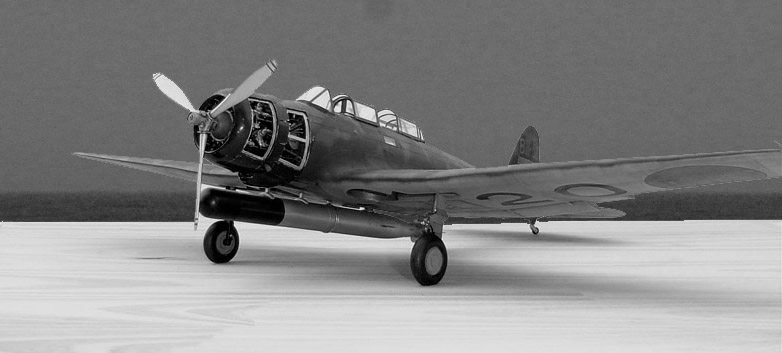 This Japanese Lady named Kate - Carrier Aircraft - Large Scale Planes