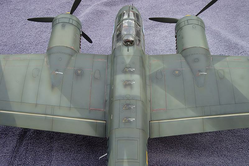 RLM colors advice.... - General Discussion - Large Scale Planes