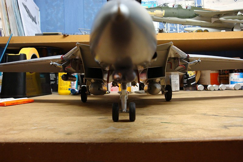 Trumpeter F-14D intake ramp ? - LSP Discussion - Large Scale Planes