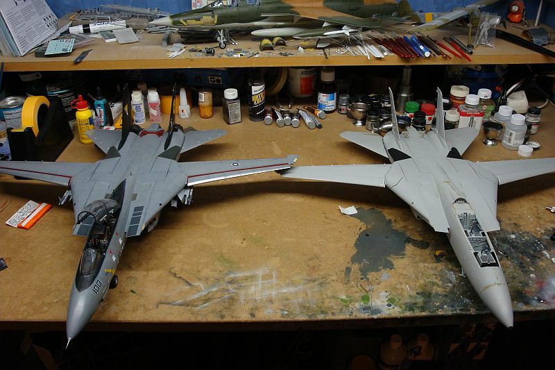Trumpeter F-14D intake ramp ? - LSP Discussion - Large Scale Planes