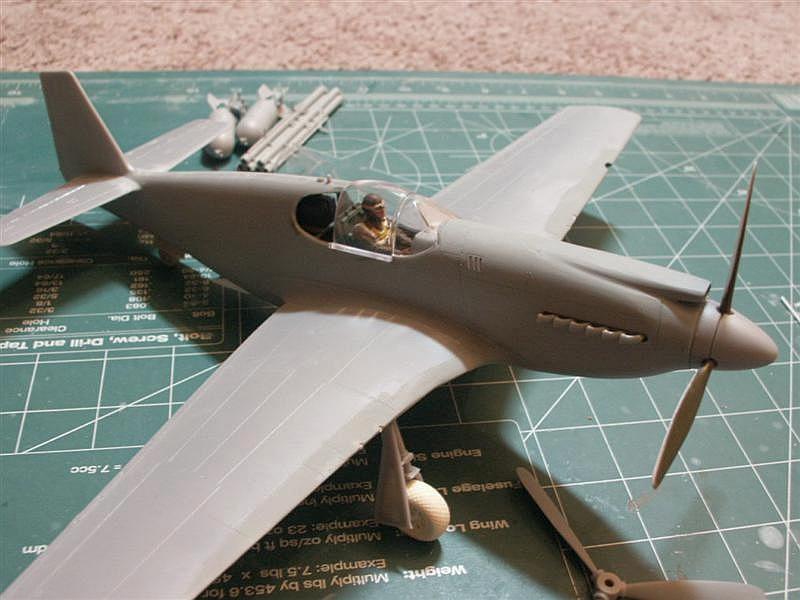 Early P-51 Sumthin - Page 5 - LSP 10th Anniversary - Large Scale Planes