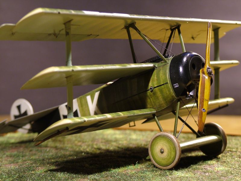 Roden Fokker Dr1 - Page 4 - Works in Progress - Large Scale Planes