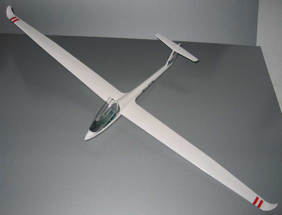 Revell LS-8 - Works in Progress - Large Scale Planes