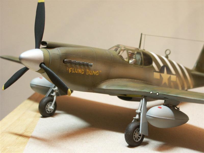 Early P-51 Sumthin - LSP 10th Anniversary - Large Scale Planes