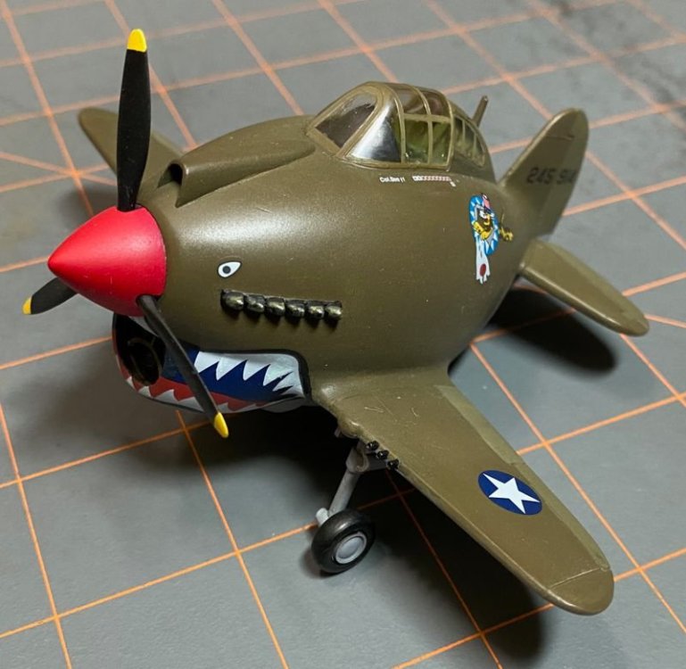 Non-LSP items completed this year... - Non-LSP Works - Large Scale Planes