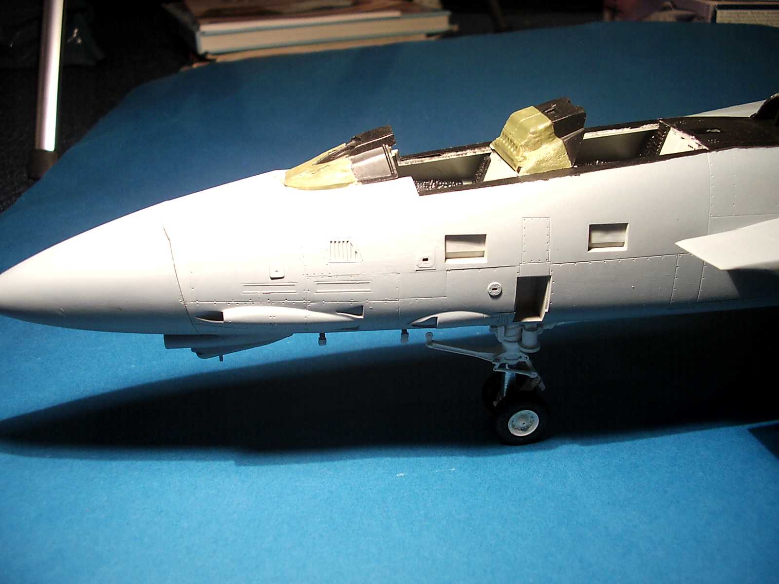 My Big Tomcat...so far - Works in Progress - Large Scale Planes