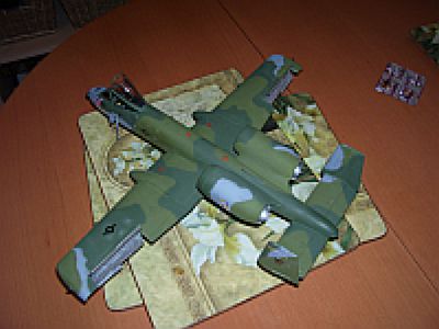 A10 - finished - General Discussion - Large Scale Planes