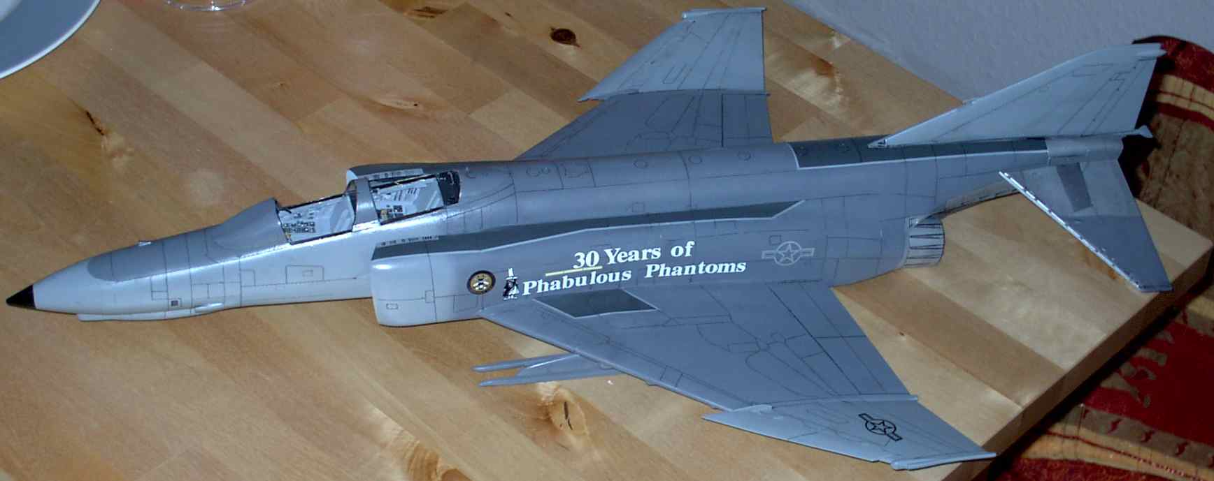Revell F-4 F ICE Phantom - Works in Progress - Large Scale Planes