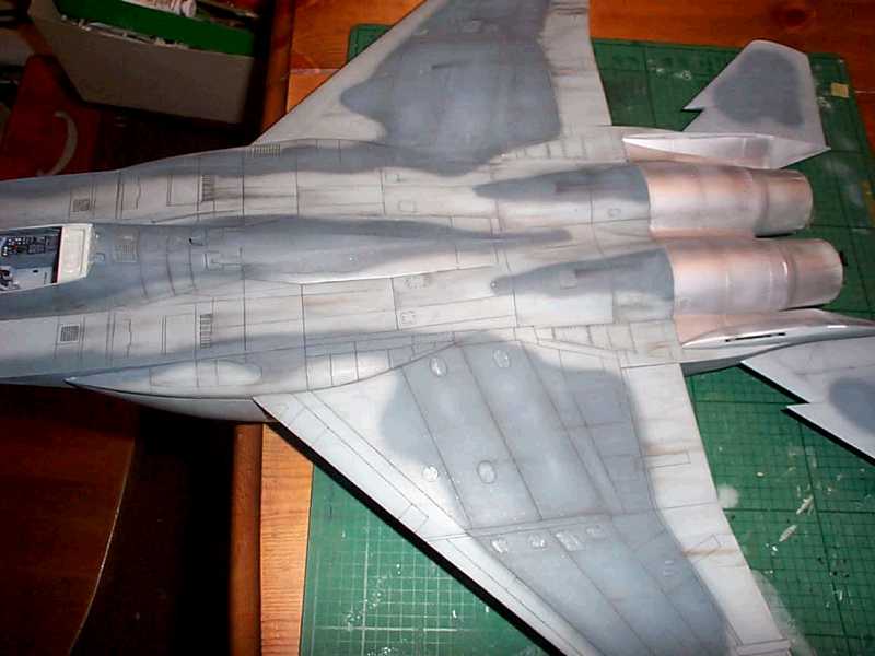 Revell F-15 - Works in Progress - Large Scale Planes