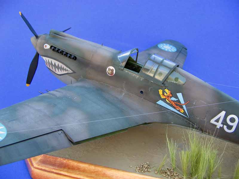 Trumpeter p-40 - Page 2 - Ready for Inspection - Large Scale Planes